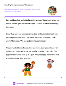 Basketball Shorts (Level D Story) - Reading Comprehension ...